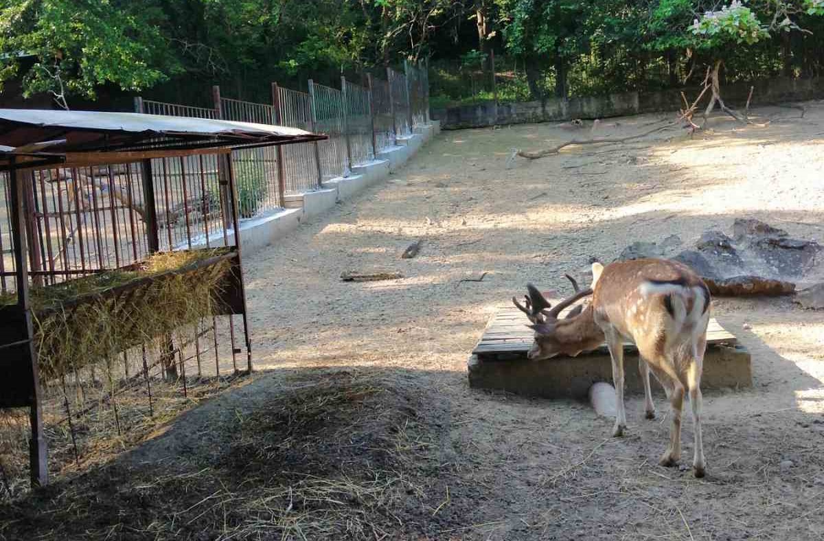 Пресцентър: Постоянни и растящи са грижите на Община Ловеч за ...